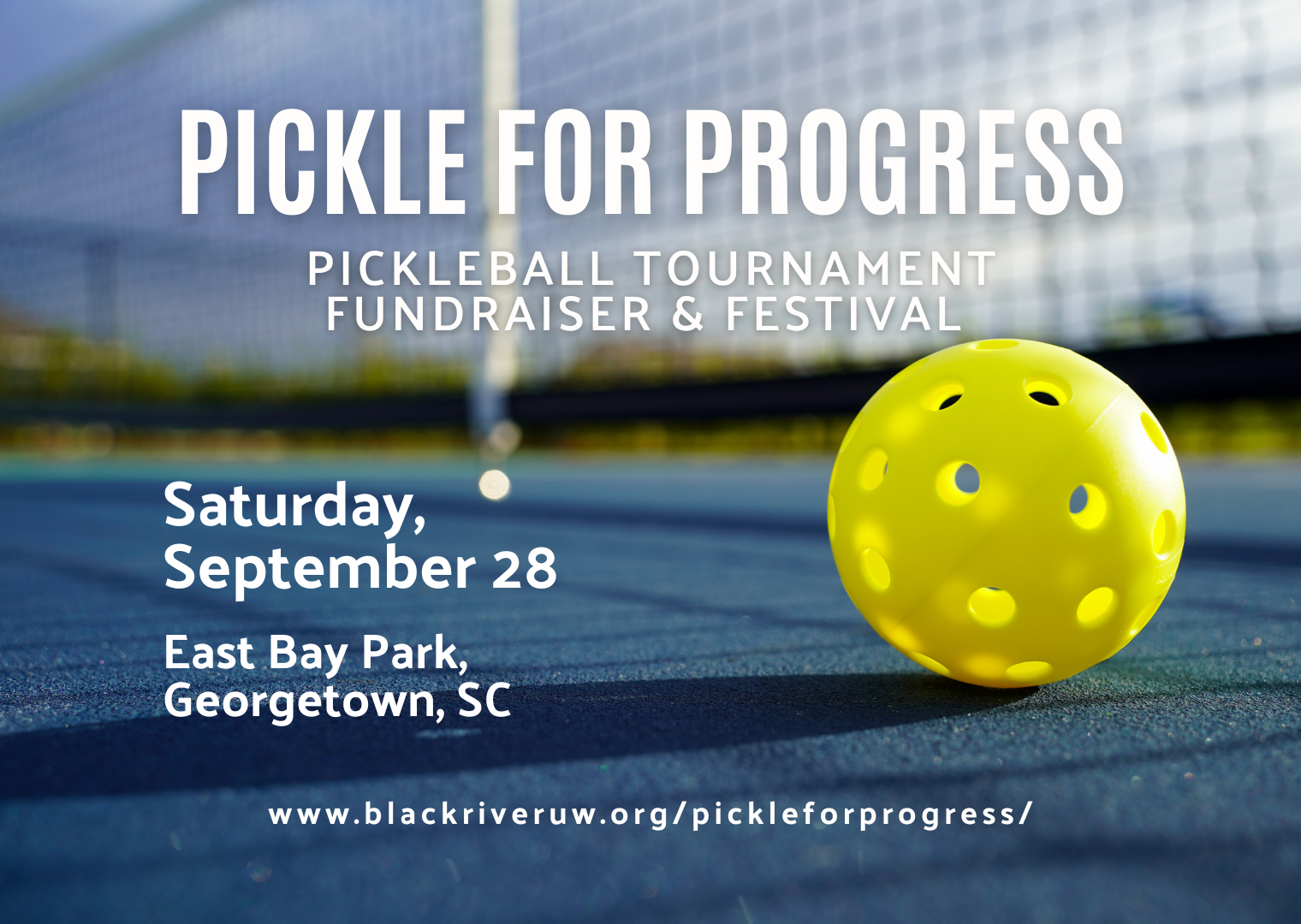 Pickle For Progress Sponsorship Form